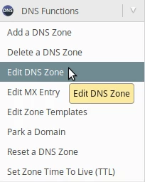 Editing a DNS zone using the WHM Edit DNS Zone function | Hostico